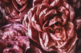 Πως καταψυχουμε πατατες – Vivamus